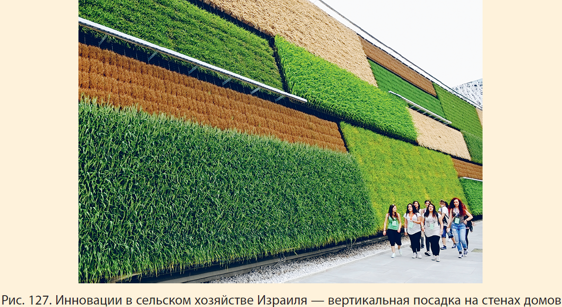 § 18. СТРУКТУРА И ГЕОГРАФИЧЕСКИЕ ТИПЫ СЕЛЬСКОГО ХОЗЯЙСТВА МИРА ...